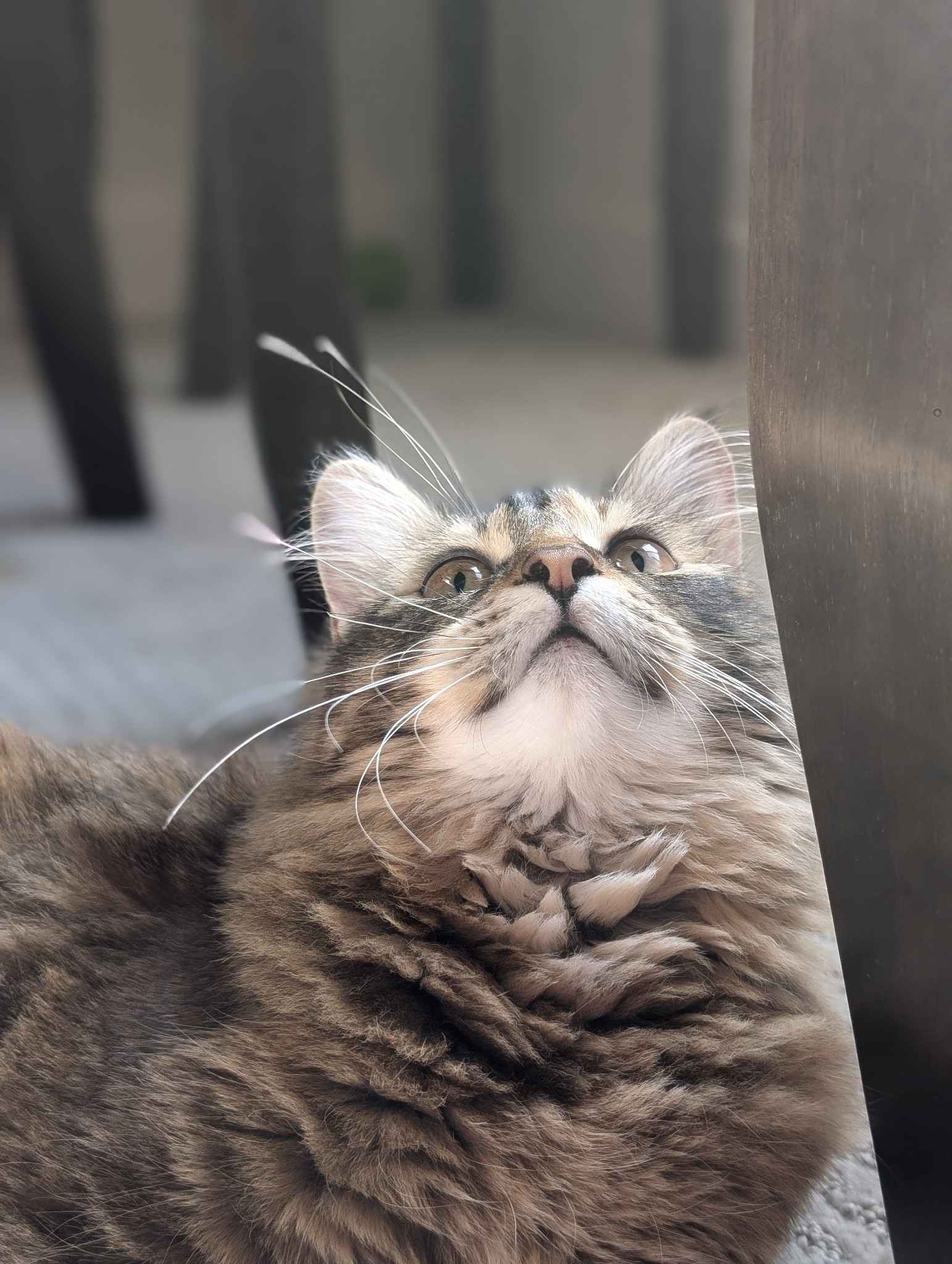 Pandemonium Development – or: How I learned to stop worrying and love ...